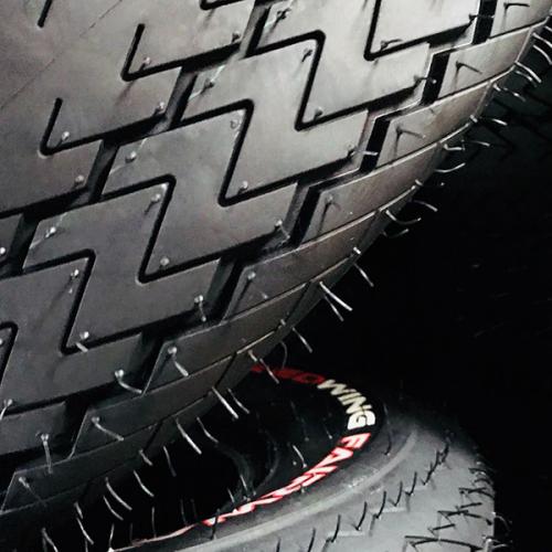 18x8.50-8 Redwing Fairway 24 6PR TL